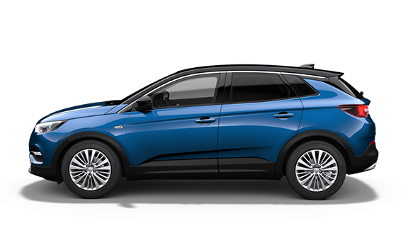 Declarations of Conformity | Overview | Opel Guyane